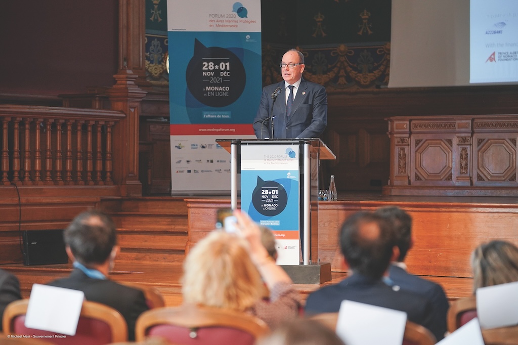 Monaco Ocean Week - galerie MOW 2024
