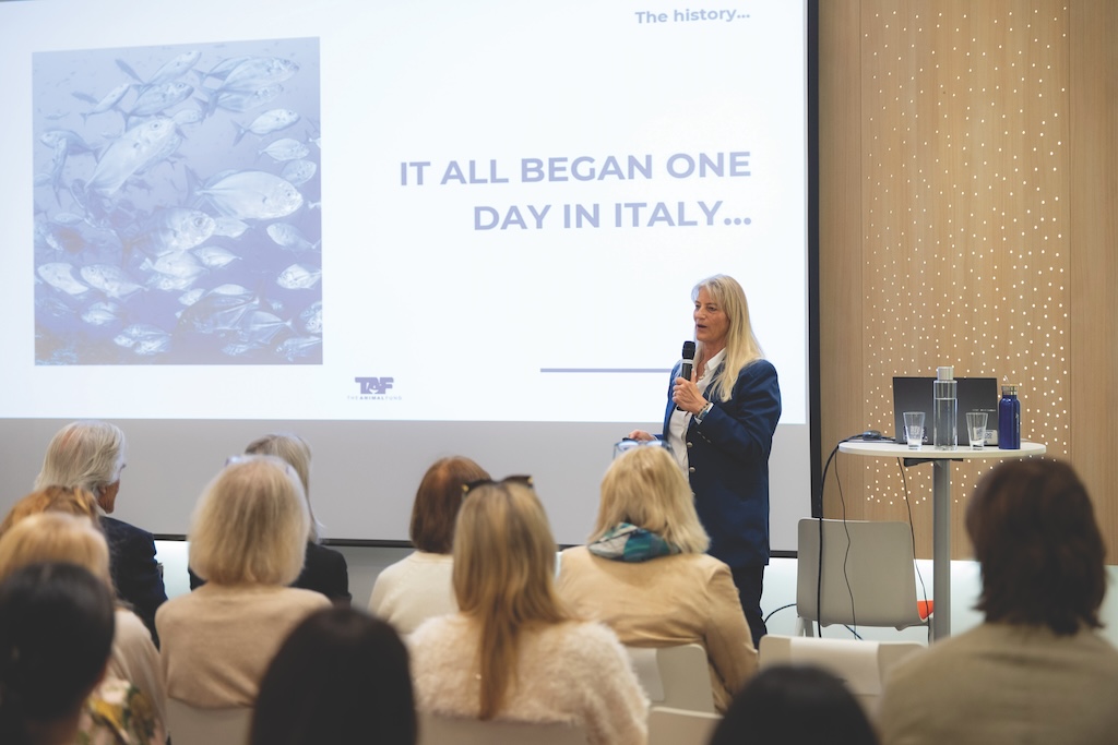 Monaco Ocean Week - galerie MOW 2024