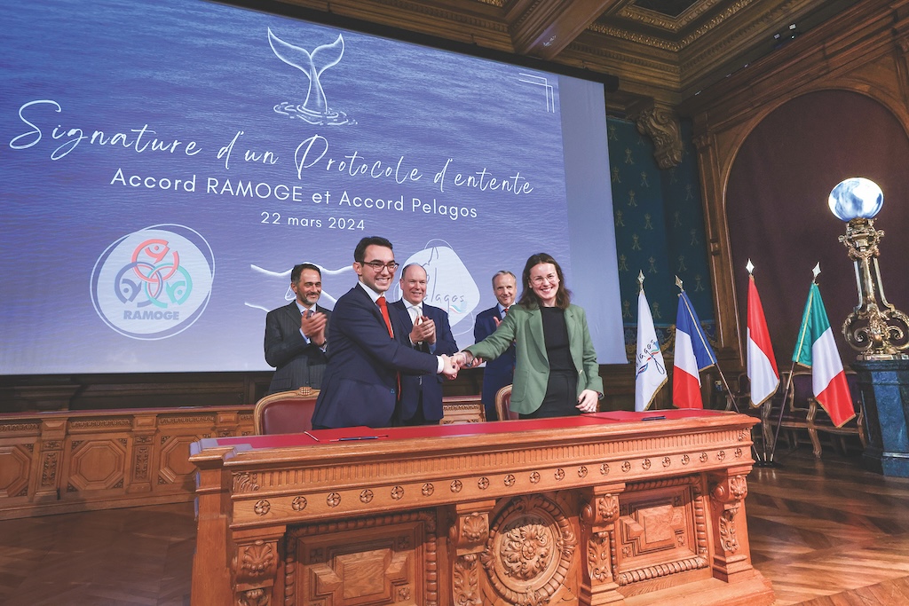 Monaco Ocean Week - galerie MOW 2024