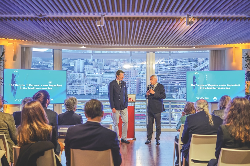 Monaco Ocean Week - galerie MOW 2024